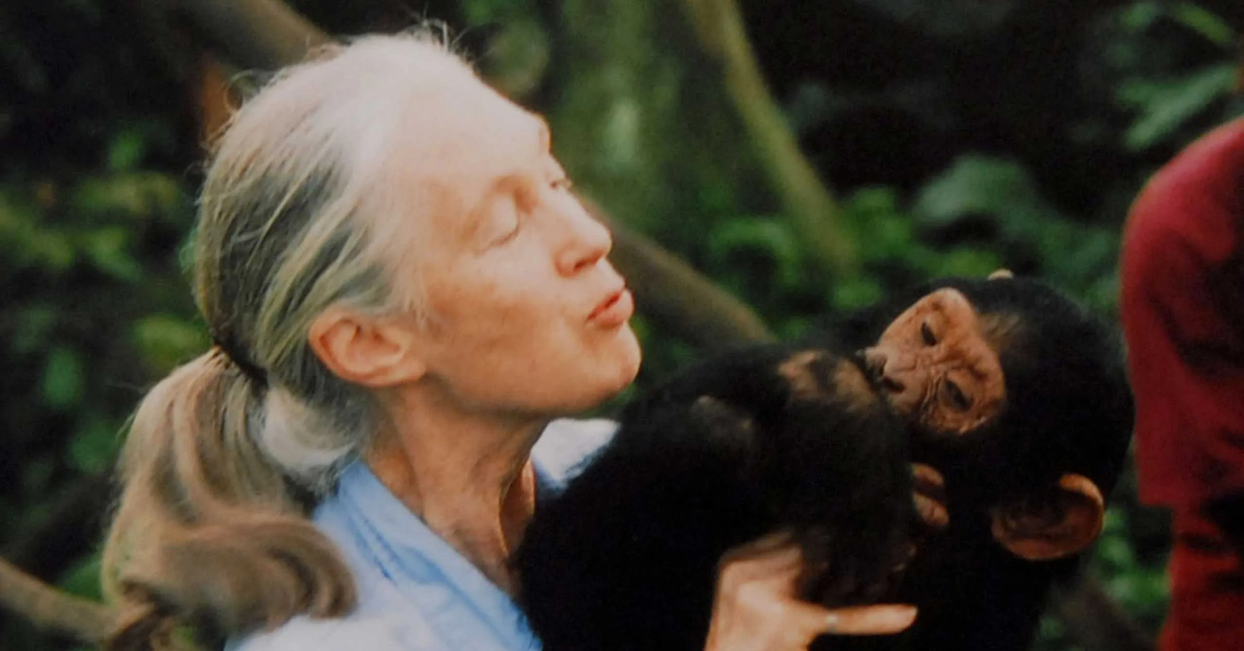Inside the Inaugural Jane Goodall Institute Hope Gala